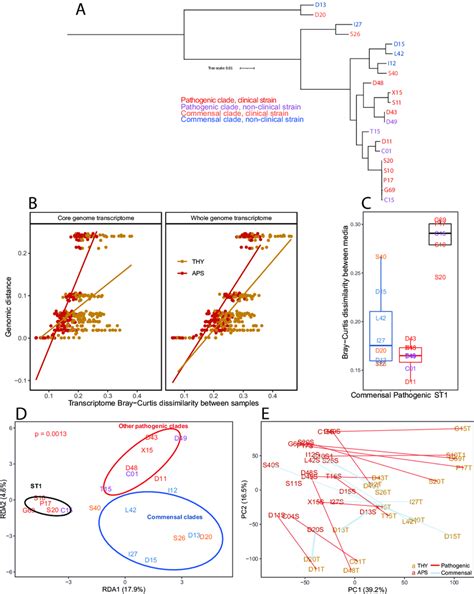 Strain Phylogeny And Overall Transcriptome Variation A Core Genome Download Scientific