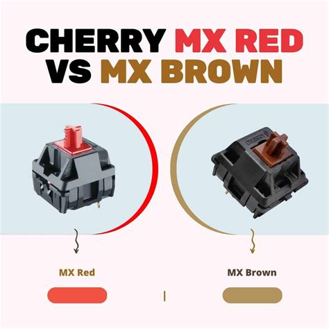 Cherry Mx Red Vs Mx Brown Everything You Need To Know How To Type