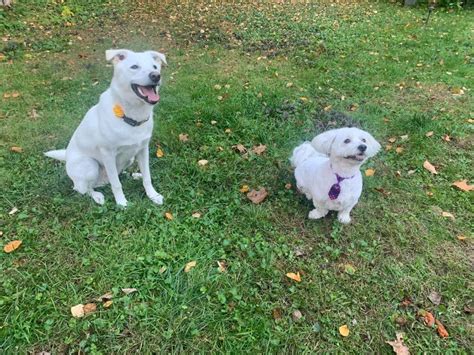 Tejashree Sawant On Linkedin A Curtain Call On My Decade Long Corporate Career… At 18 I Moved