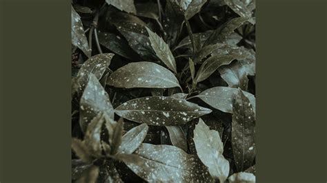 Responsiveness Youtube