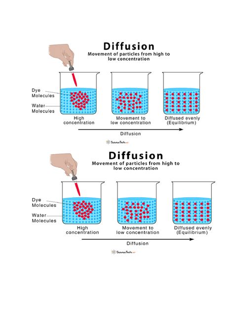Diffusion Of Dye In Water Pdf