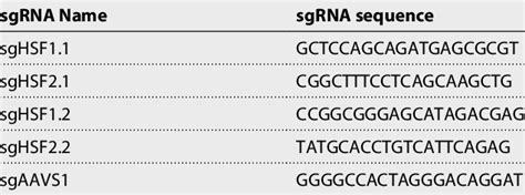 Sgrna Sequences For Crispr Cas9 Knockout Generation Download