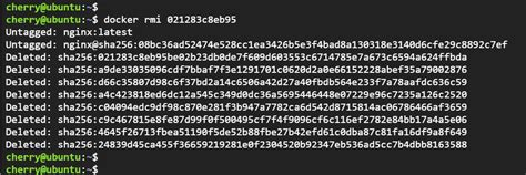 How To Remove Docker Images Step By Step Cherry Servers