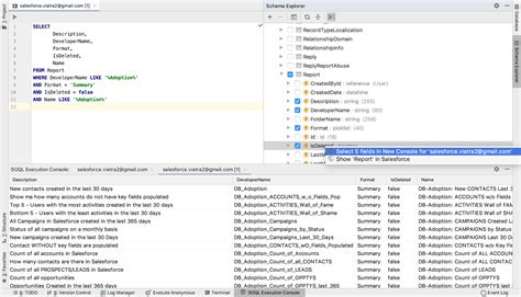 Guide To Salesforce Data Management With Schema Explorer