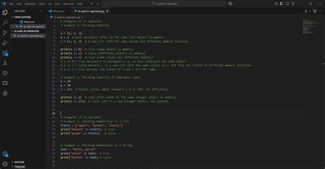 Python Coding Programming Webdevelopment Giaic Samra Moinuddin