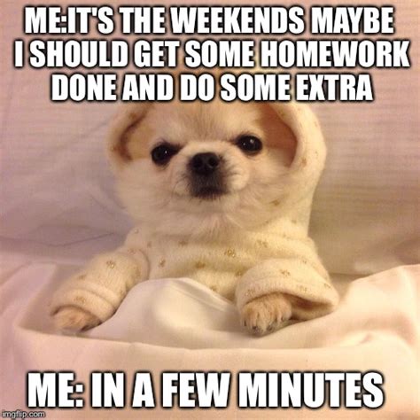 Weekend Sleep Memes