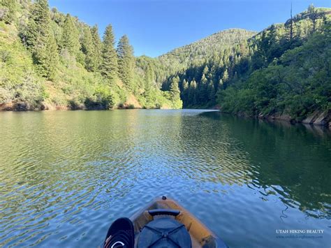 Salmon Run At Causey Reservoir Utah Hiking Beauty