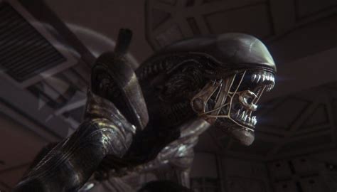 Alien Isolation Team Talks Horror Colonial Marines Reaction