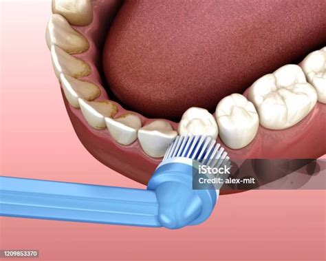전동 칫솔 청소 치아 흰색에 격리 구강 위생의 의학적으로 정확한 3d 그림 디지털 생성 이미지에 대한 스톡 사진 및 기타 이미지 디지털 생성 이미지 디톡스 뿌리