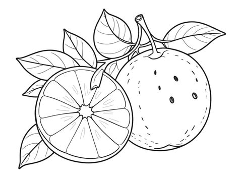 16 Desenhos De Frutas Para Colorir
