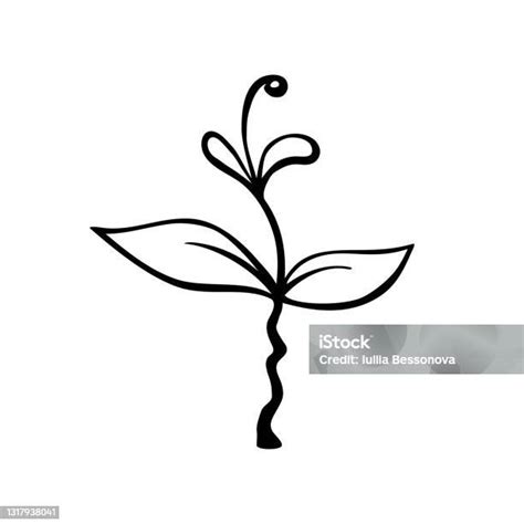 식물 새싹 묘목 낙서 스타일로 손으로 그린 간단한 검은 색 윤곽 벡터 일러스트레이션 고립 디자인 요소 장식용 클립 아트 색칠 페이지 자연의 상징 생태 원예 0명에 대한 스톡