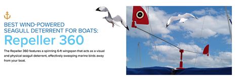 5 Best Seagull Deterrent For Boats Bird B Gone Llc