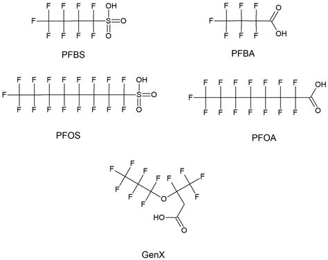 Per And Polyfluoroalkyl Substances Pfas Neurotoxicity In Sentinel