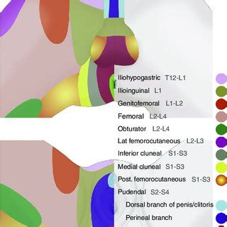 A Randomized Controlled Trial Of Pudendal Nerve Block For Pain Relief After Episiotomy Request PDF