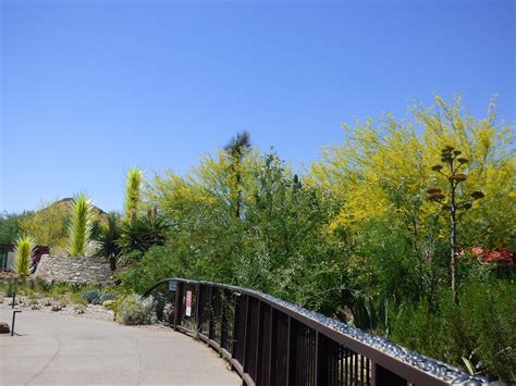 Kittling Books An April Stroll Through The Desert Botanical Garden