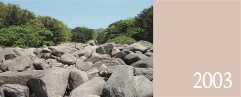 대구경북 다시보기