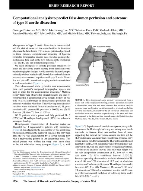 Pdf Computational Analysis To Predict False Lumen Perfusion And