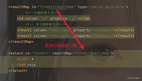 Mybatis中orm映射 Csdn博客