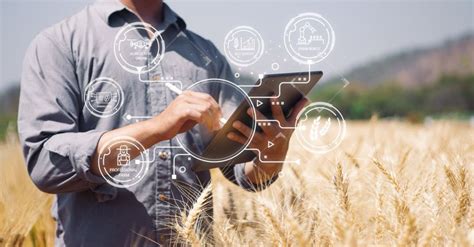 Yield Analysis Ai For Optimised Agricultural Production Spark Emerging Technologies