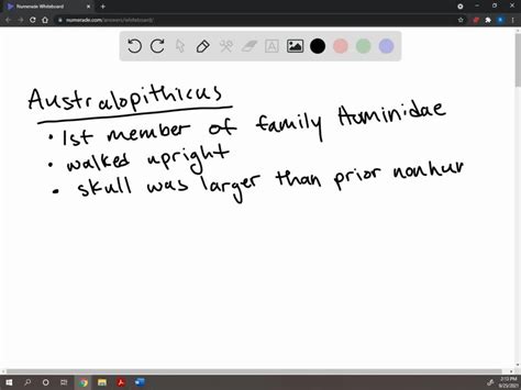 ⏩solved Australopithecus Showed Both Social Behaviors And Sexual… Numerade