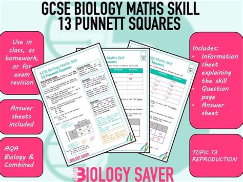 Gcse Biology Maths Skill 13 Punnett Squares Teaching Resources