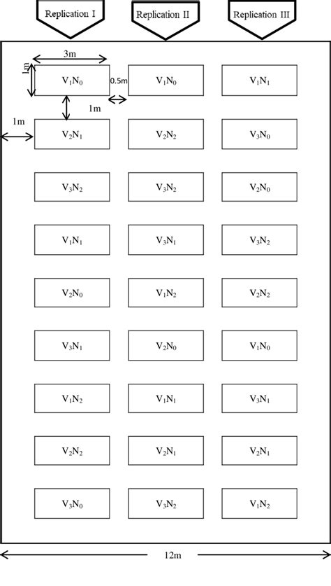 Layout Of The Experiment Download Scientific Diagram
