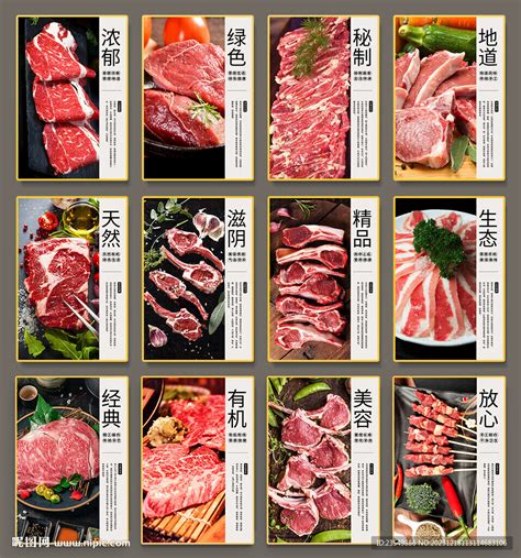 牛羊肉设计海报模板设计图psd分层素材psd分层素材设计图库昵图网