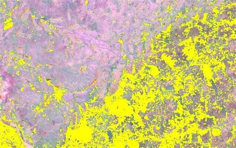 A Source Satellite Image B Vegetation Area Segmented Image Download Scientific Diagram