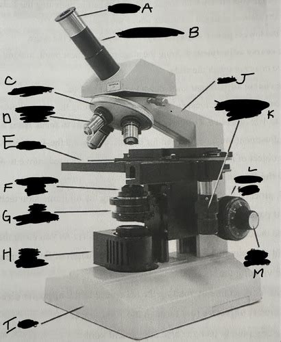 Microscope Identification Flashcards Quizlet