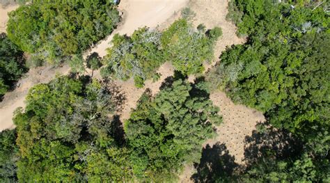 About Us Reef Catchments About Us Reef Catchments