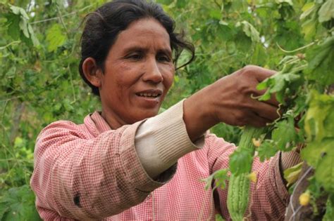Building Disaster Resilient Communities In Cambodia Ii Oxfam In Cambodia