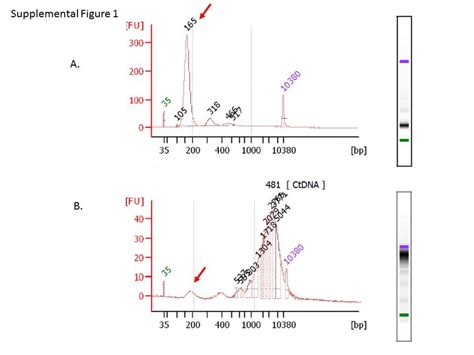 Supplemental Figure 1 Quality Control Of Cfdna Following Extraction