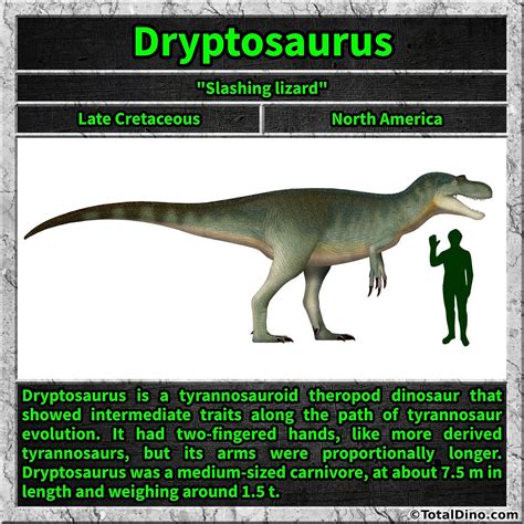 Dryptosaurus