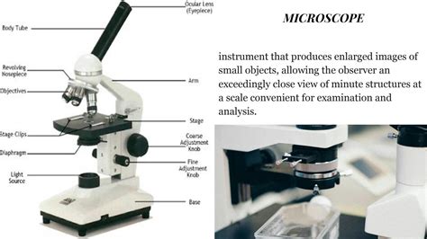 Solution Types Of Microscope Studypool