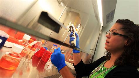 Stem Cell Biotech Companies Welcome 150 Million In Decade Long Funding