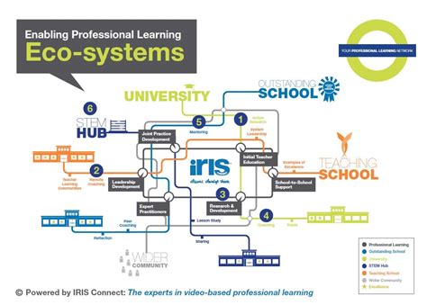 Whats An Educational Ecosystem And Are You In One