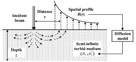 Principle Of The Spatially Resolved Technique For Optical Property Download Scientific Diagram