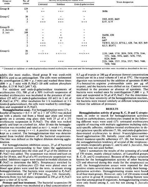Hemagglutination Activities Of Streptococci Of Different Lancefield Download Table