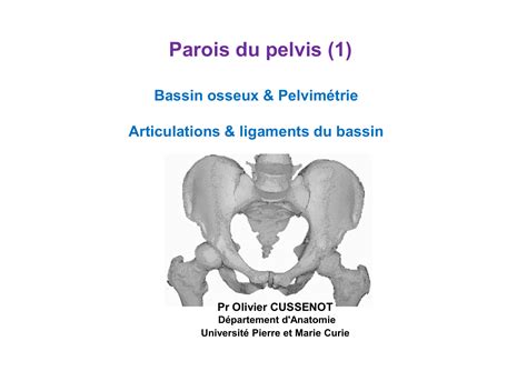 Parois Du Pelvis 1 Bassin Osseux And Pelvimétrie Pr Olivier Cussenot