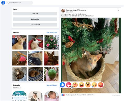 Common Logical Fallacies — Science Learning Hub