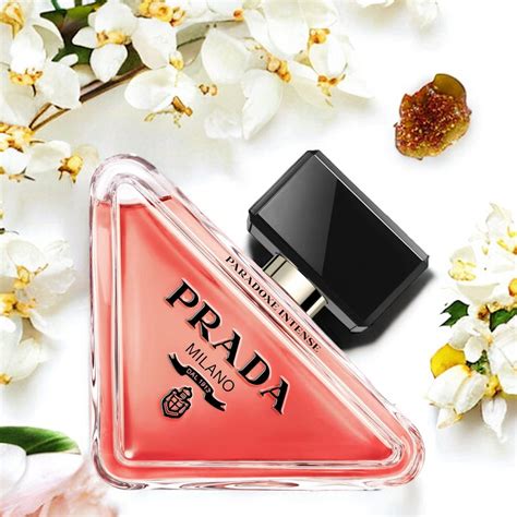 Prada Paradoxe Intense Fragrance Sample Scented Samples