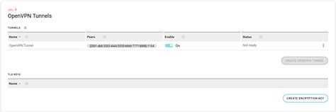 Configuring Openvpn Xr80 5 1 Sierra Wireless