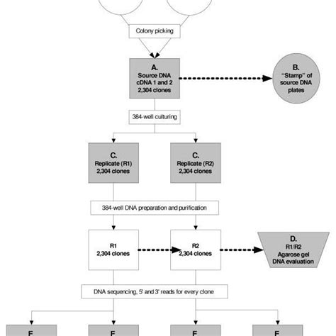 Analysis Pipeline Analysis Methodology Used To Determine Failure Modes Download Scientific Analysis Pipeline Analysis Methodology Used To Determine Failure Modes Download Scientific
