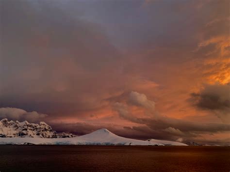 지구를 살려주세요…바다 위 빙하 한가운데 떠 있는 북극곰 포착