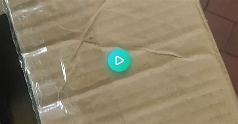 Gpu Damage Album On Imgur