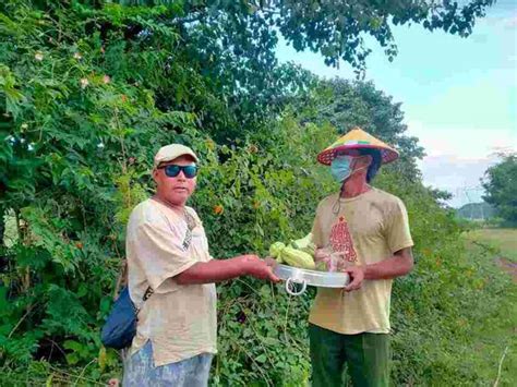 ကယားရှိ စစ်ဘေးရှောင်များကို ကျေးလက်မြေအဖွဲ့မှ အာဟာရအချို့လှူဒါန်း