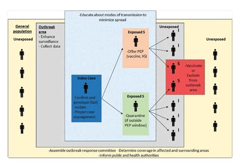 Measles Global Outbreaks Stemming From A Decline In Routine Vaccine Coverage National