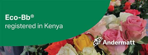 New Product Registration Eco Bb Registered In Kenya Andermatt Africa