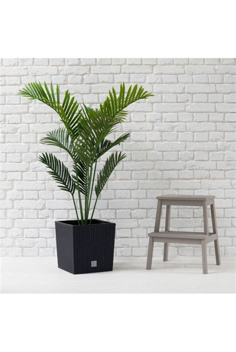 Artificial Paradise Palm Tree With Anthracite Planter