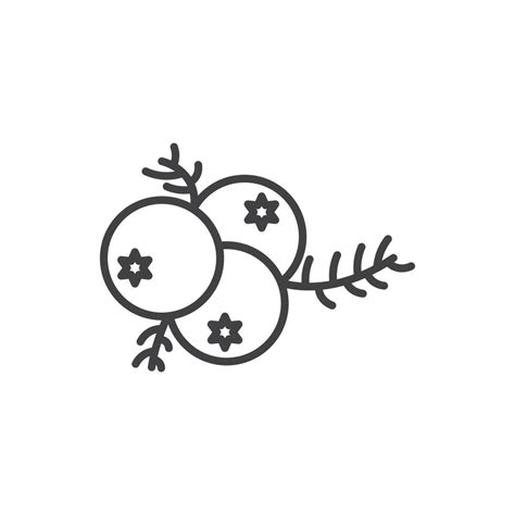 Juniper Icon Set 45685103 Vector Art At Vecteezy